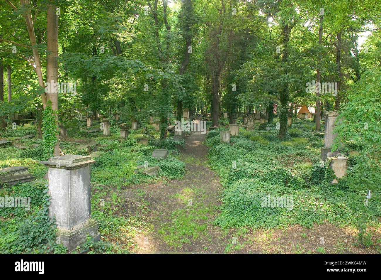 The Elias Cemetery in Dresden is considered to be the city's most ...