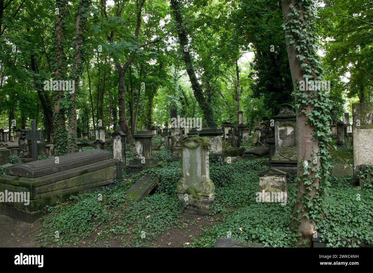The Elias Cemetery in Dresden is considered to be the city's most ...
