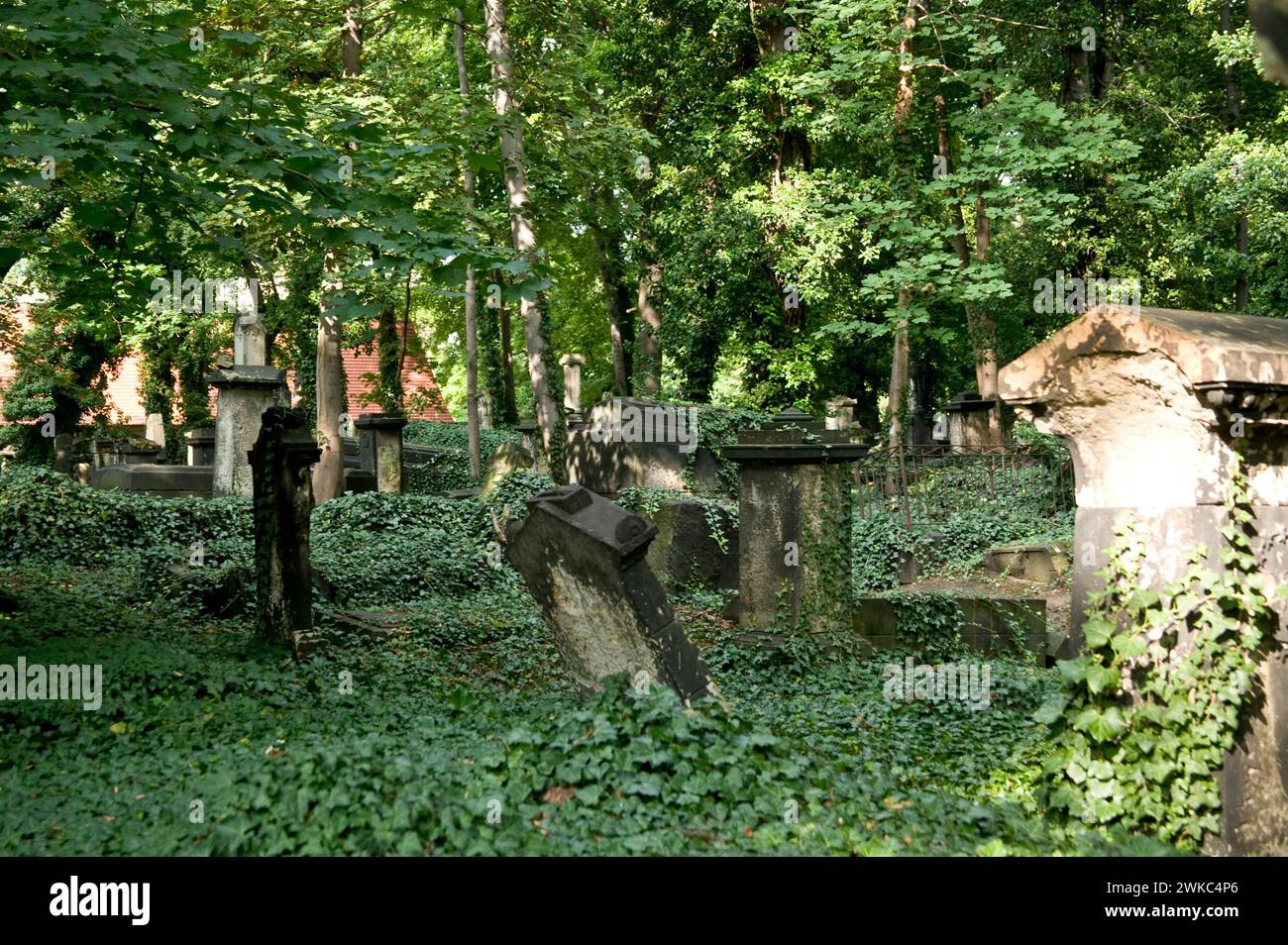 The Elias Cemetery in Dresden is considered to be the city's most ...