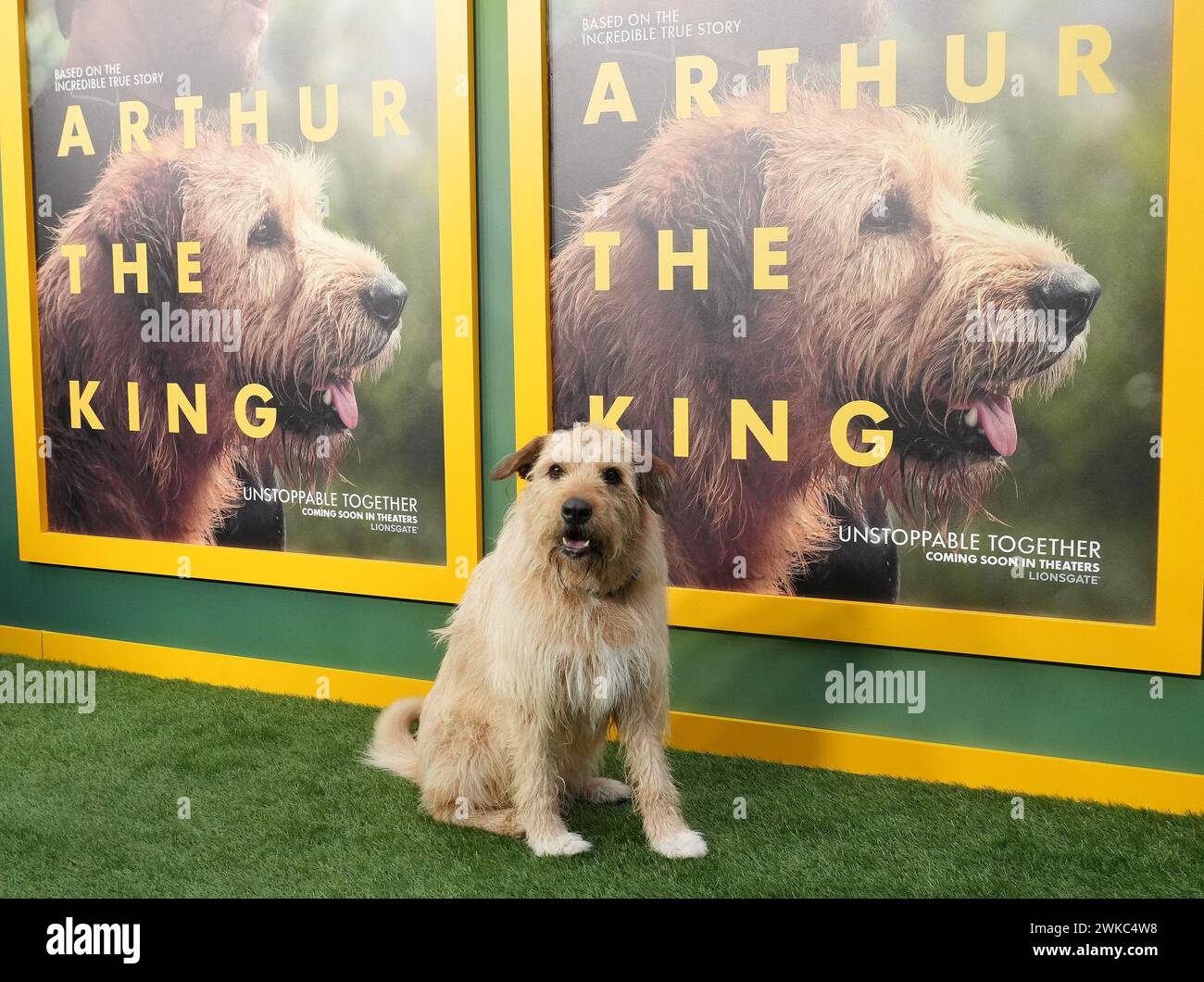 Arthur the king 2024 hi-res stock photography and images - Alamy