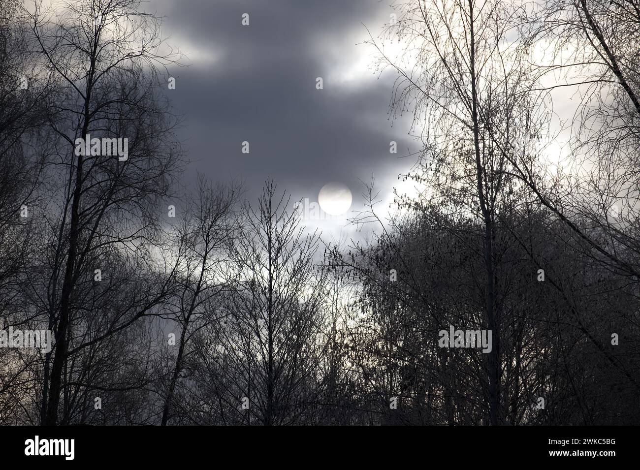 Silhouettes silhouettes and silhouettes with silhouettes and sil hi-res ...