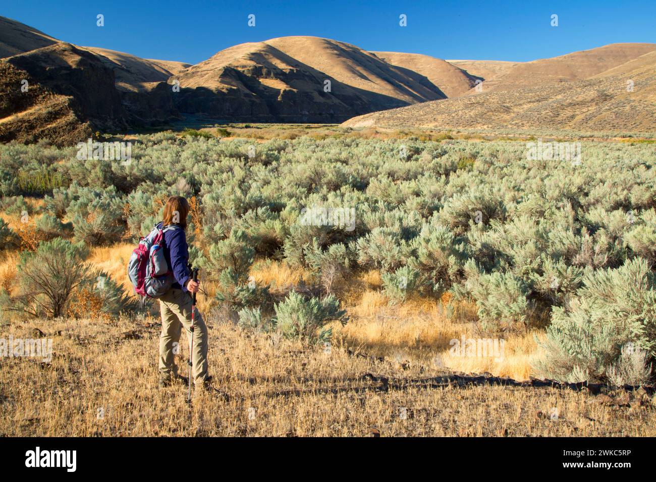 Sagebrush flat along Lost Corral Trail, John Day Wild and Scenic River ...