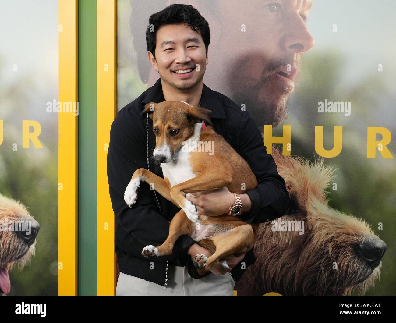 Simu Liu arrives at the Lionsgate's ARTHUR THE KING Los Angeles ...