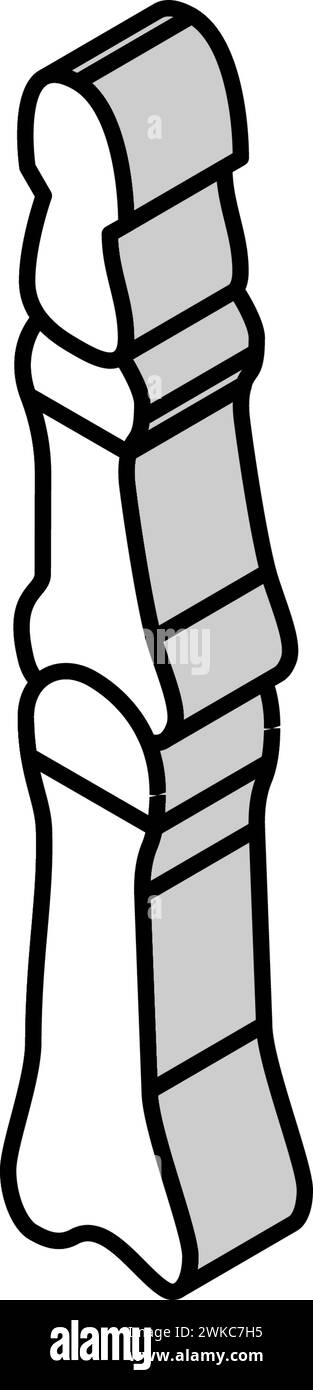 finger bone isometric icon vector illustration Stock Vector Image & Art ...