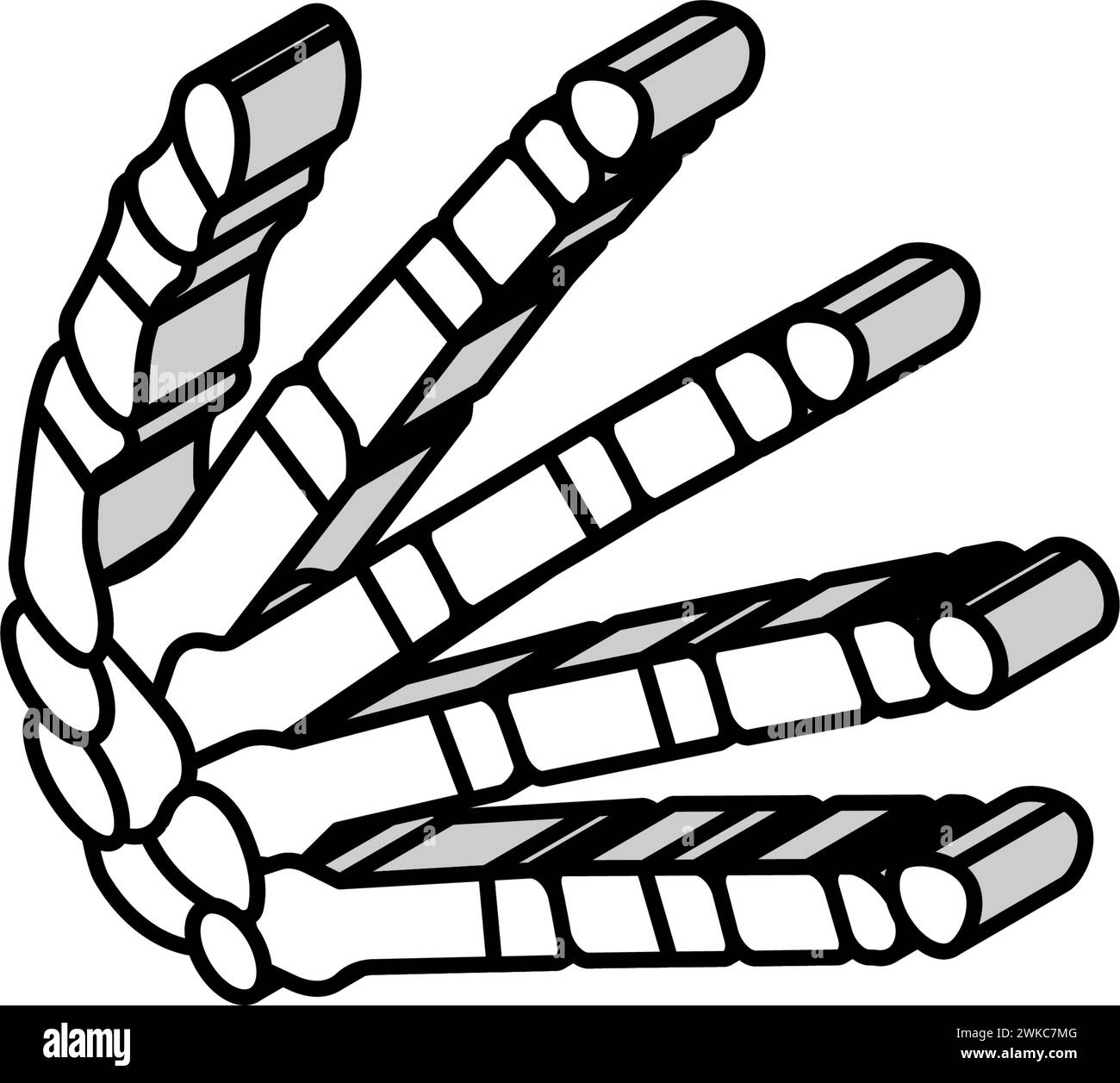 wrist bone isometric icon vector illustration Stock Vector Image & Art ...