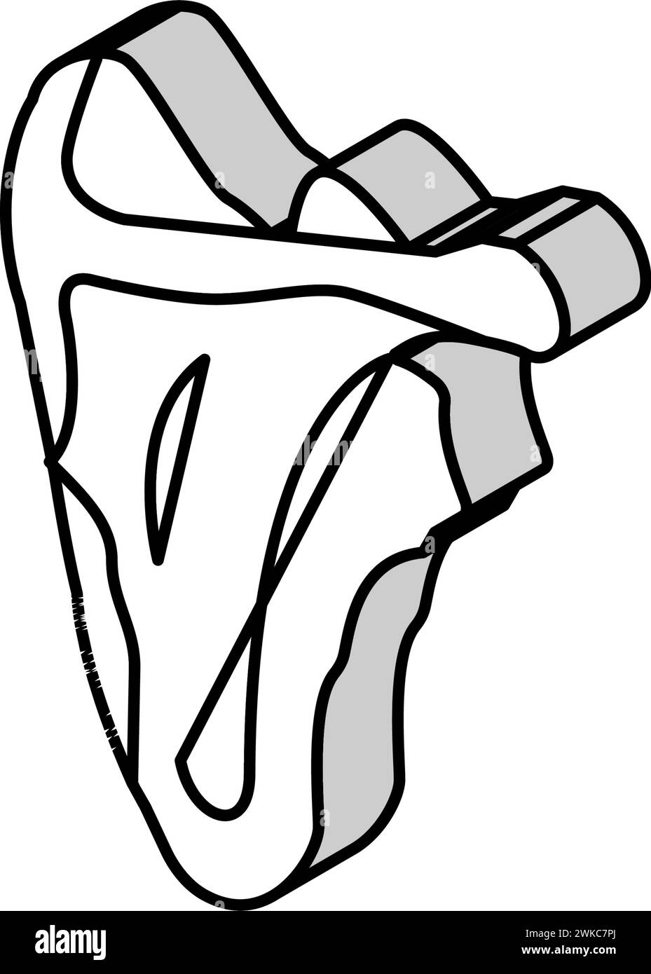 rib bone isometric icon vector illustration Stock Vector Image & Art ...