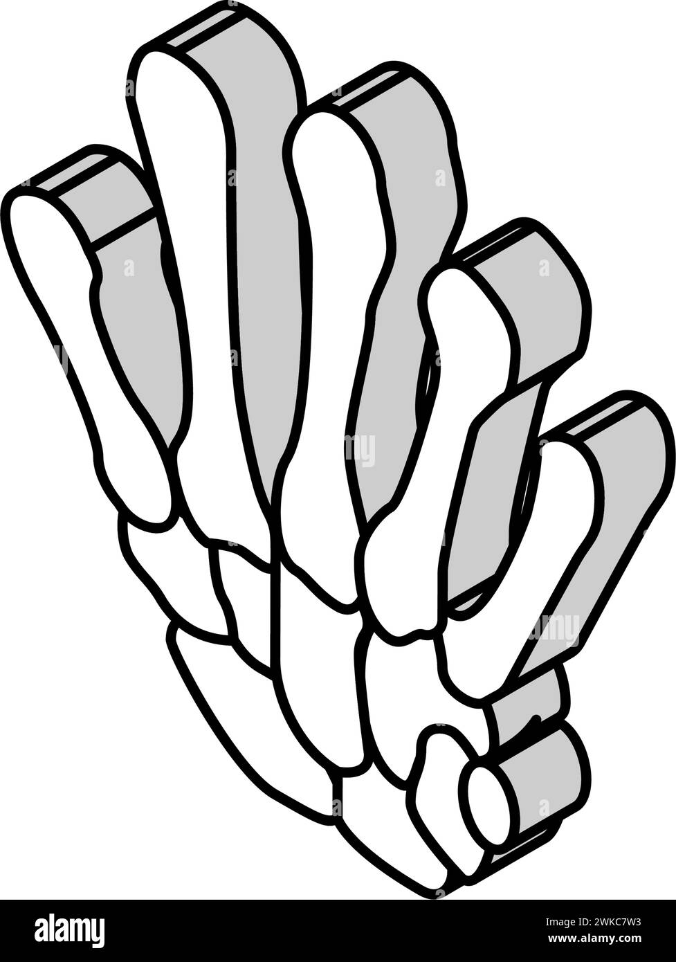 elbow bone isometric icon vector illustration Stock Vector Image & Art ...