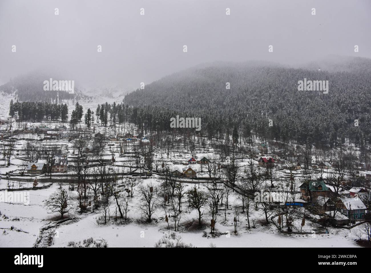 Gaganfir, India. 19th Feb, 2024. A view of snow covered village after ...