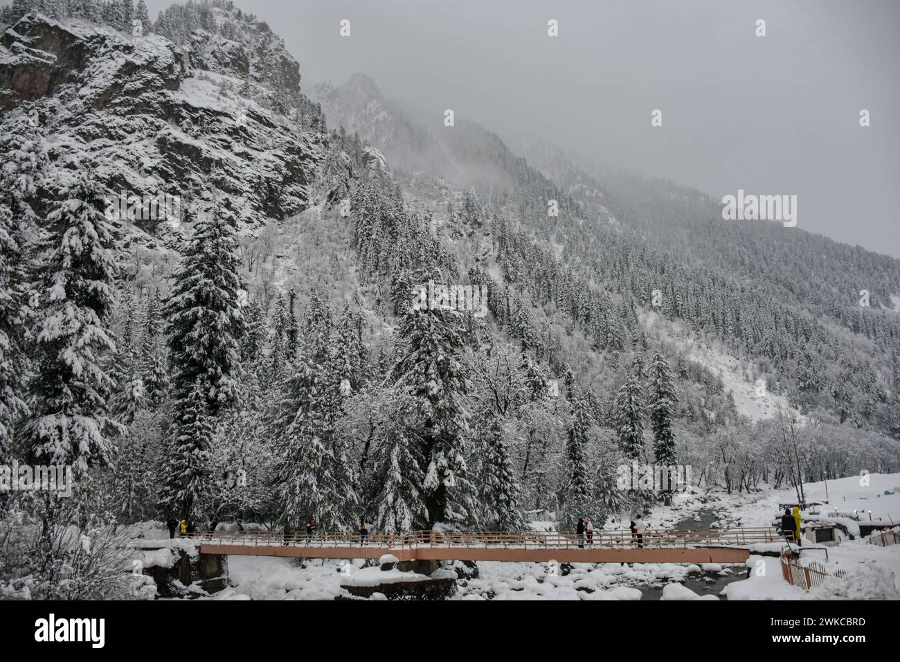 Gaganfir, India. 19th Feb, 2024. Visitors walk along the snow covered ...
