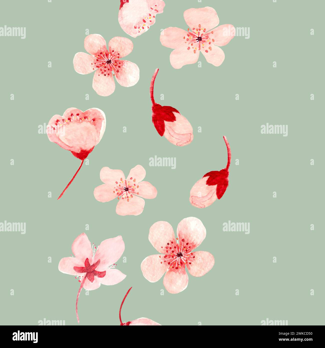 Watercolor hand drawn pink sakura flower seamless pattern on sage green ...