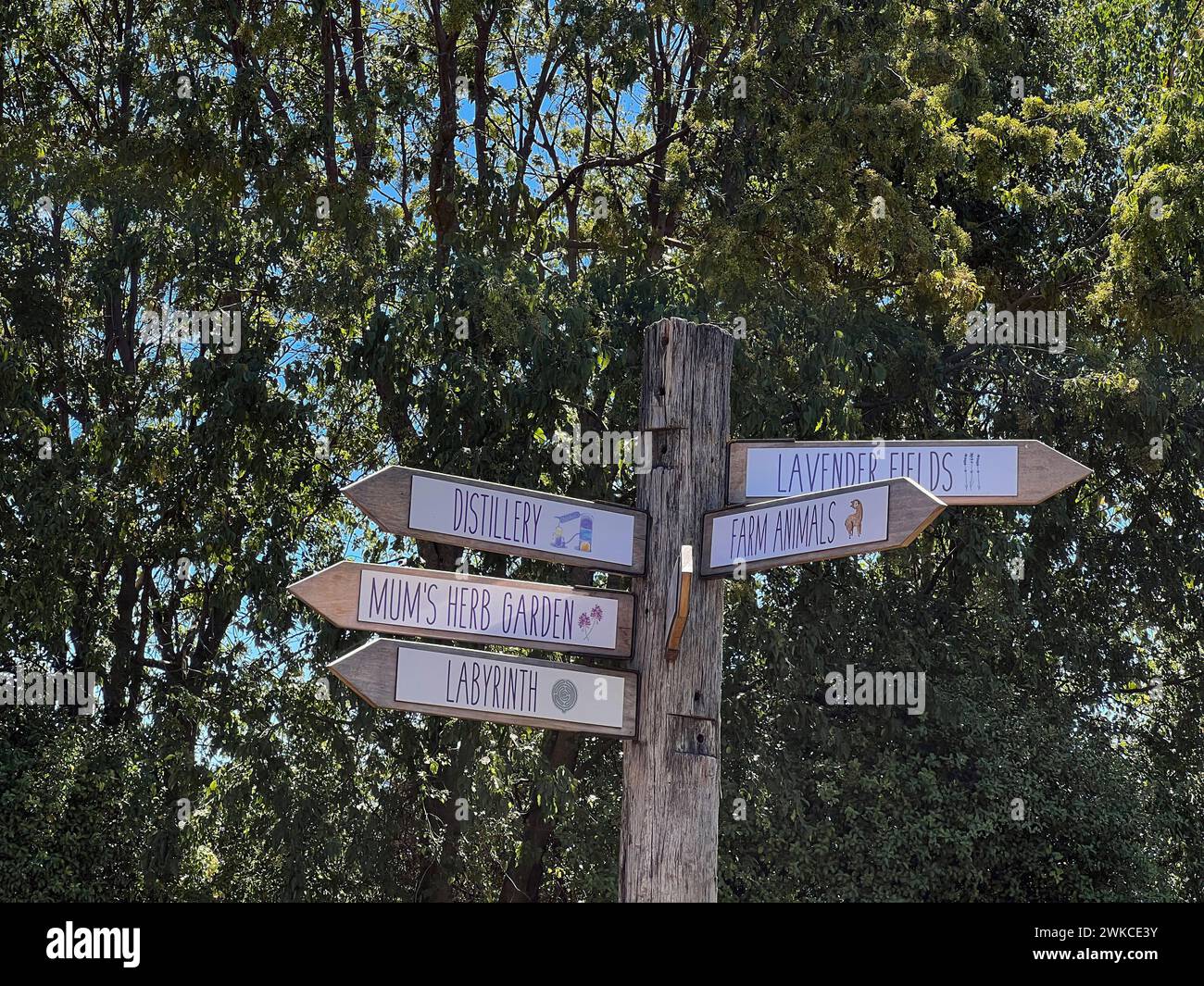 Garden signboards, wooden guidpost boards with direction to various ...