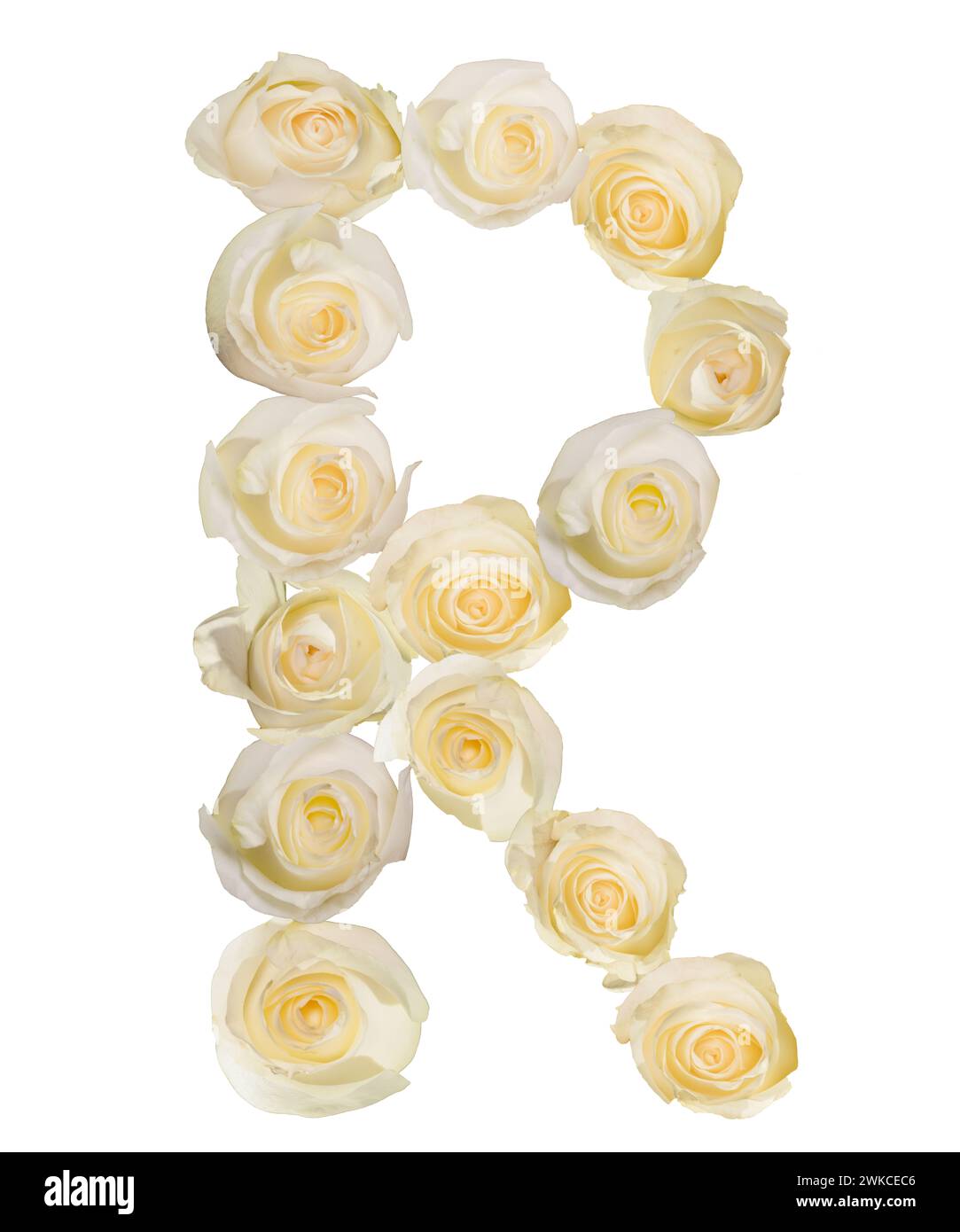 White roses employed to spelt letter R creating interesting and ...