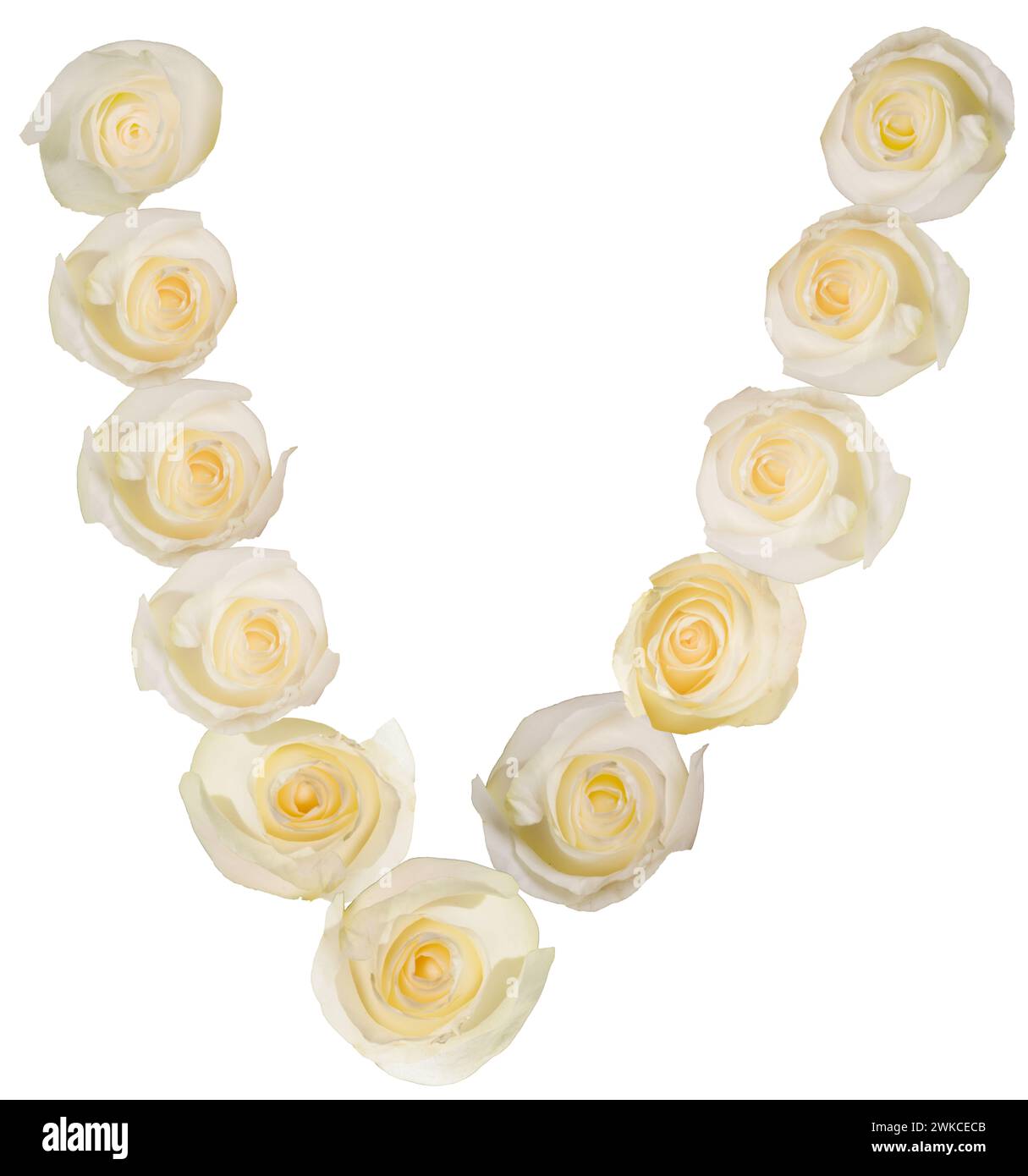 White roses employed to spelt letter V creating interesting and ...