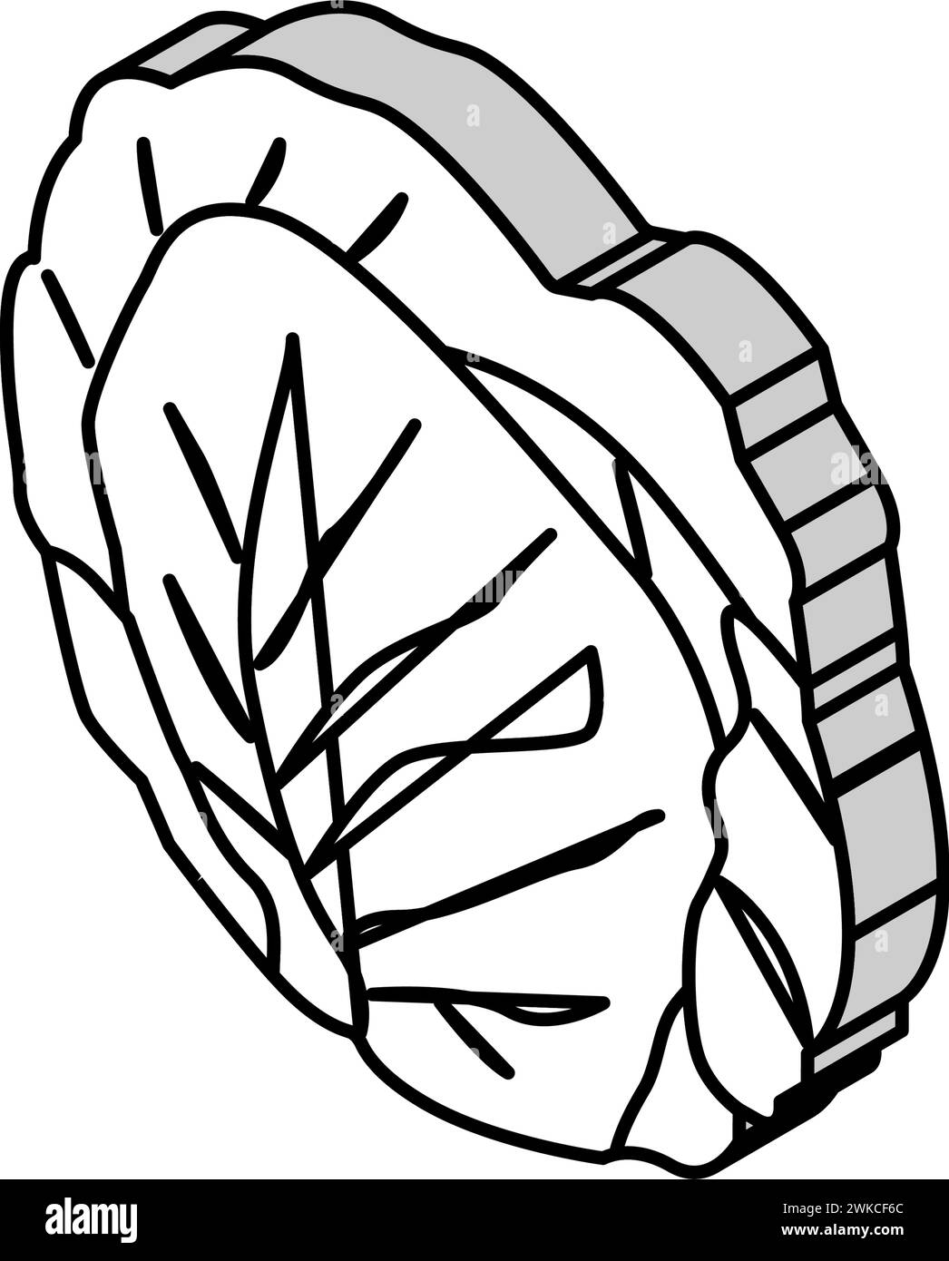 green cabbage isometric icon vector illustration Stock Vector Image ...