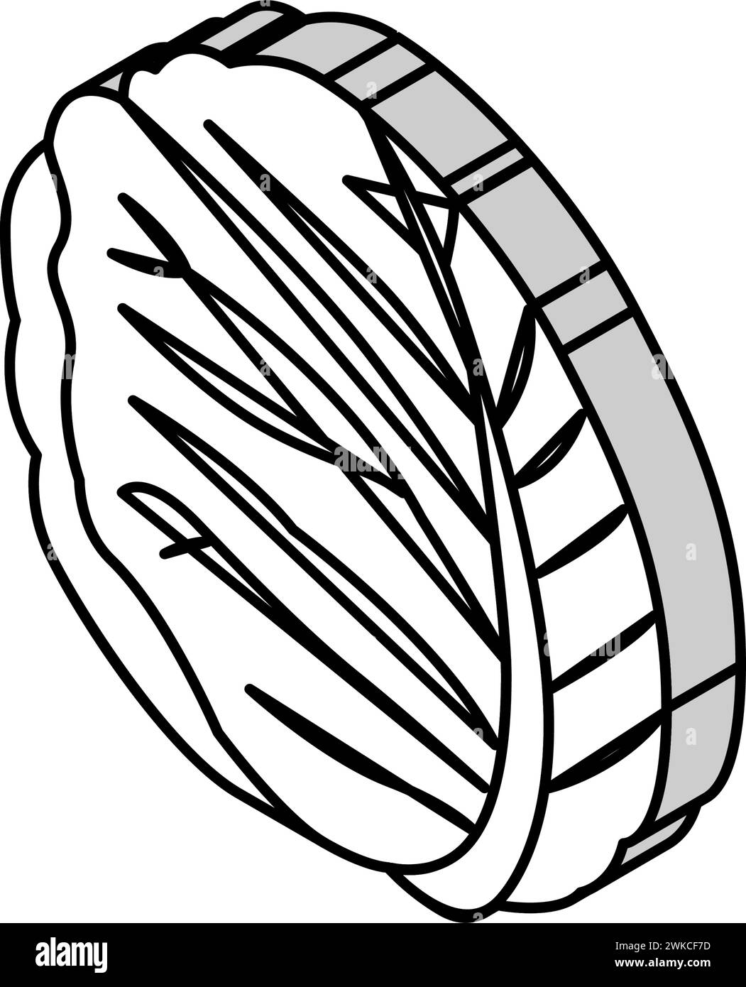 white cabbage isometric icon vector illustration Stock Vector Image ...