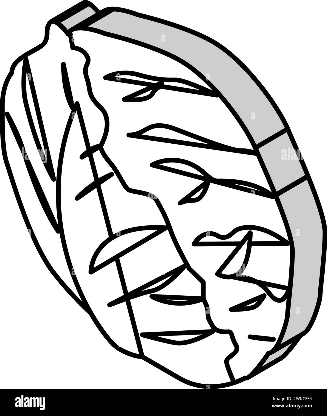 red cabbage isometric icon vector illustration Stock Vector Image & Art ...