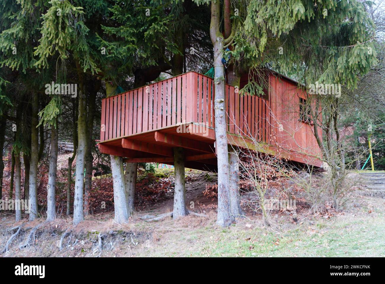 A treehouse perched atop trees near a small house Stock Photo - Alamy