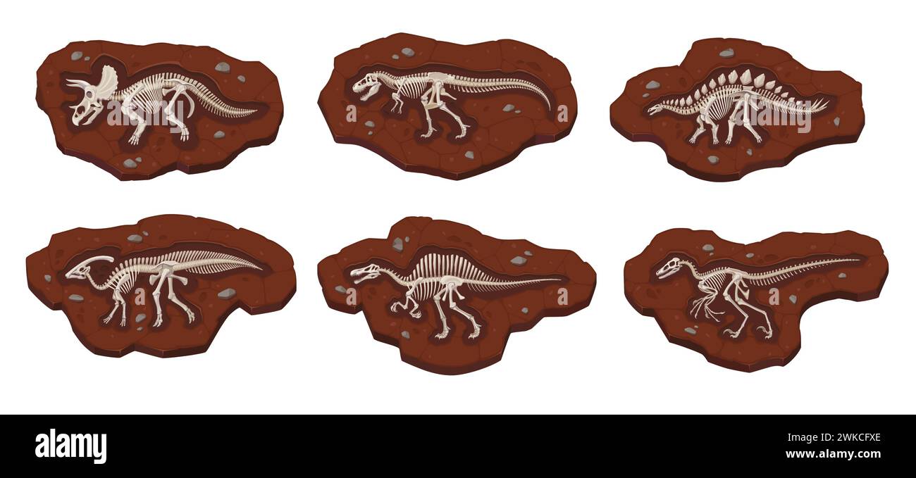Cartoon dinosaur fossil bones. Ancient dino skeleton imprints in stone ...