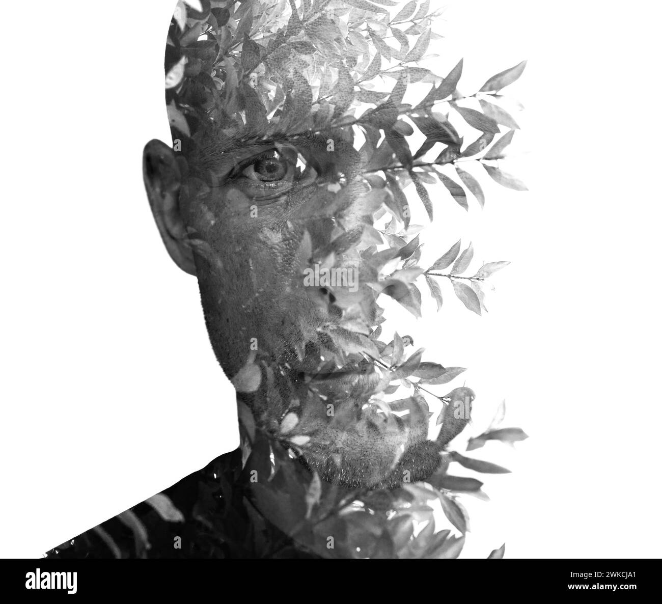 A black and white double exposure disappearing male portrait Stock ...