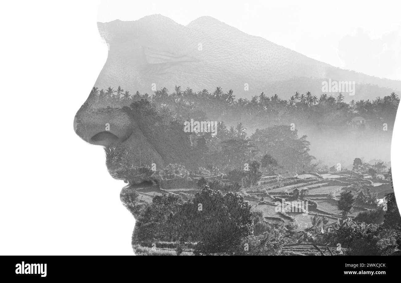 A serene black and white double exposure male profile portrait Stock ...