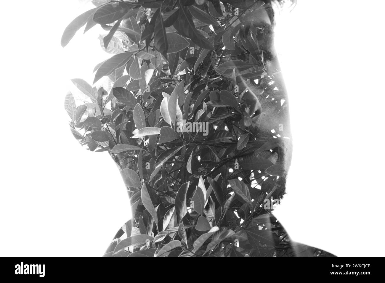 Double exposure male portrait with leafy facial features Stock Photo ...