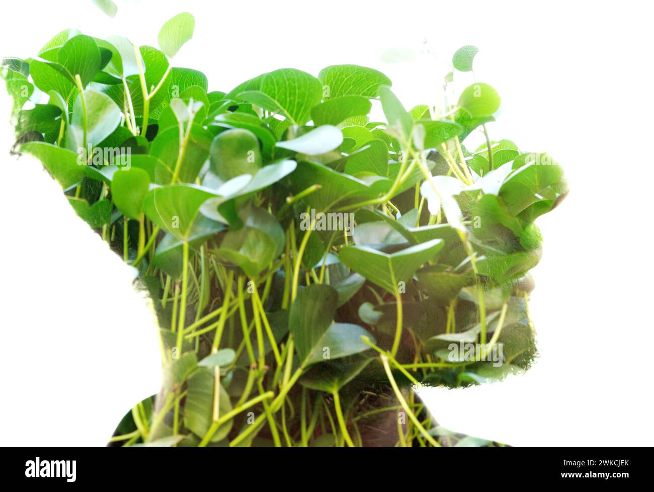 A green and vibrant, disappearing half-profile portrait in double ...
