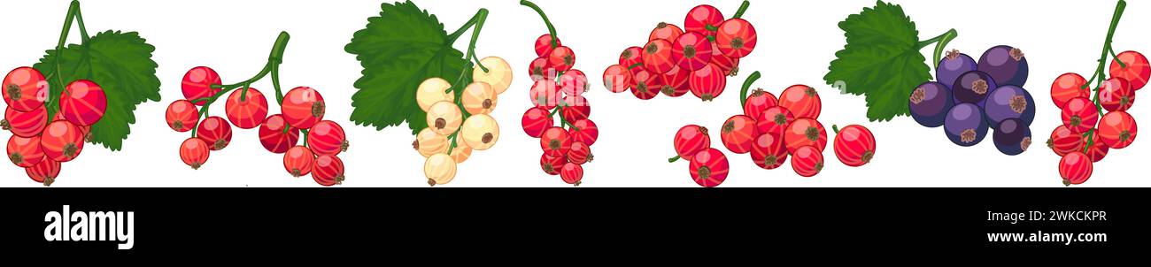Currant icons set cartoon vector. Red berry. Agriculture botanical ...