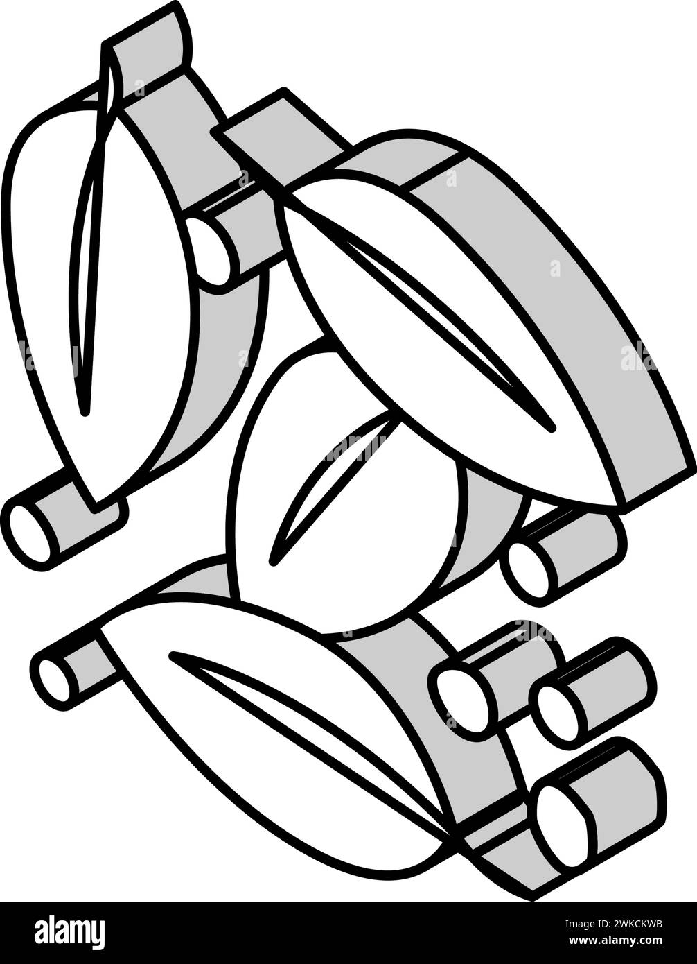 leaves of black pepper plant isometric icon vector illustration Stock ...