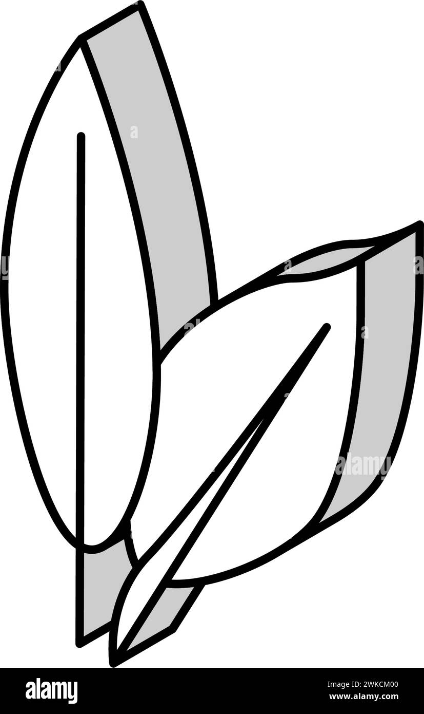 cherry leaf isometric icon vector illustration Stock Vector Image & Art ...
