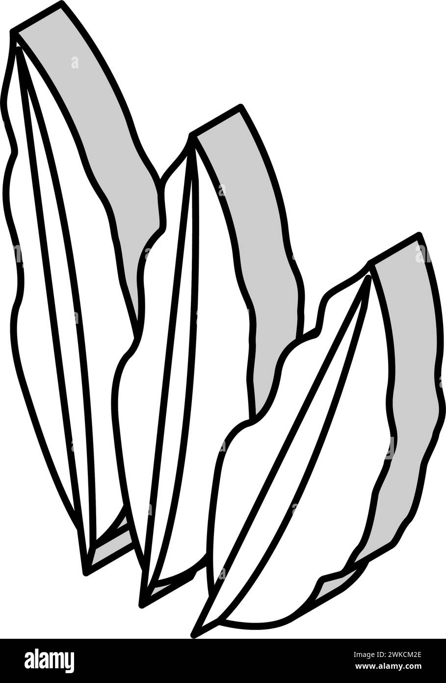 mango leaf isometric icon vector illustration Stock Vector Image & Art ...