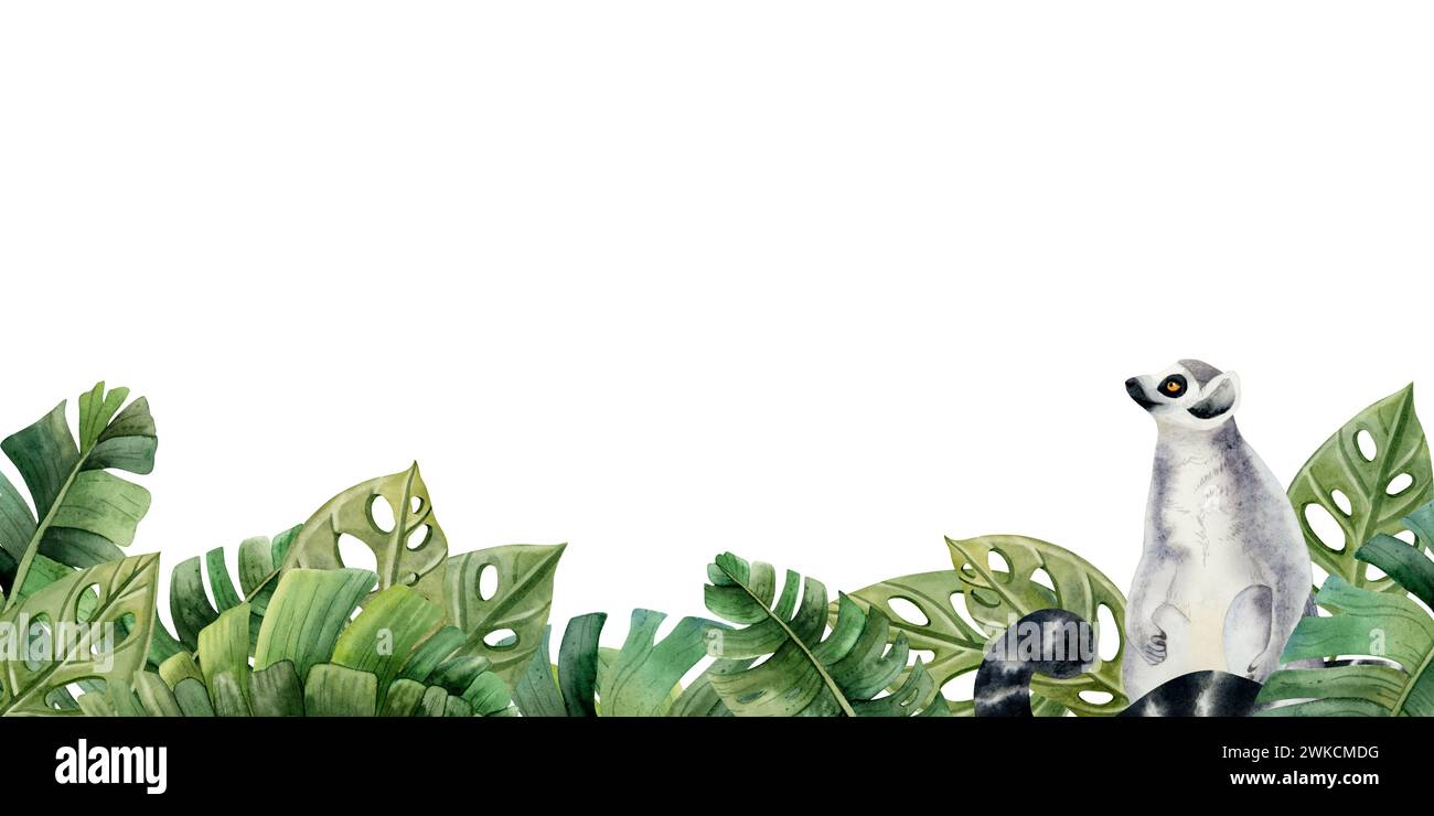 Lemur monkey in tropical leaves and bushes horizontal banner watercolor ...