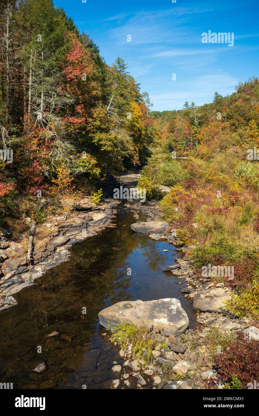 The Obed Wild & Scenic River in the Cumberland Plateau in Tennessee ...