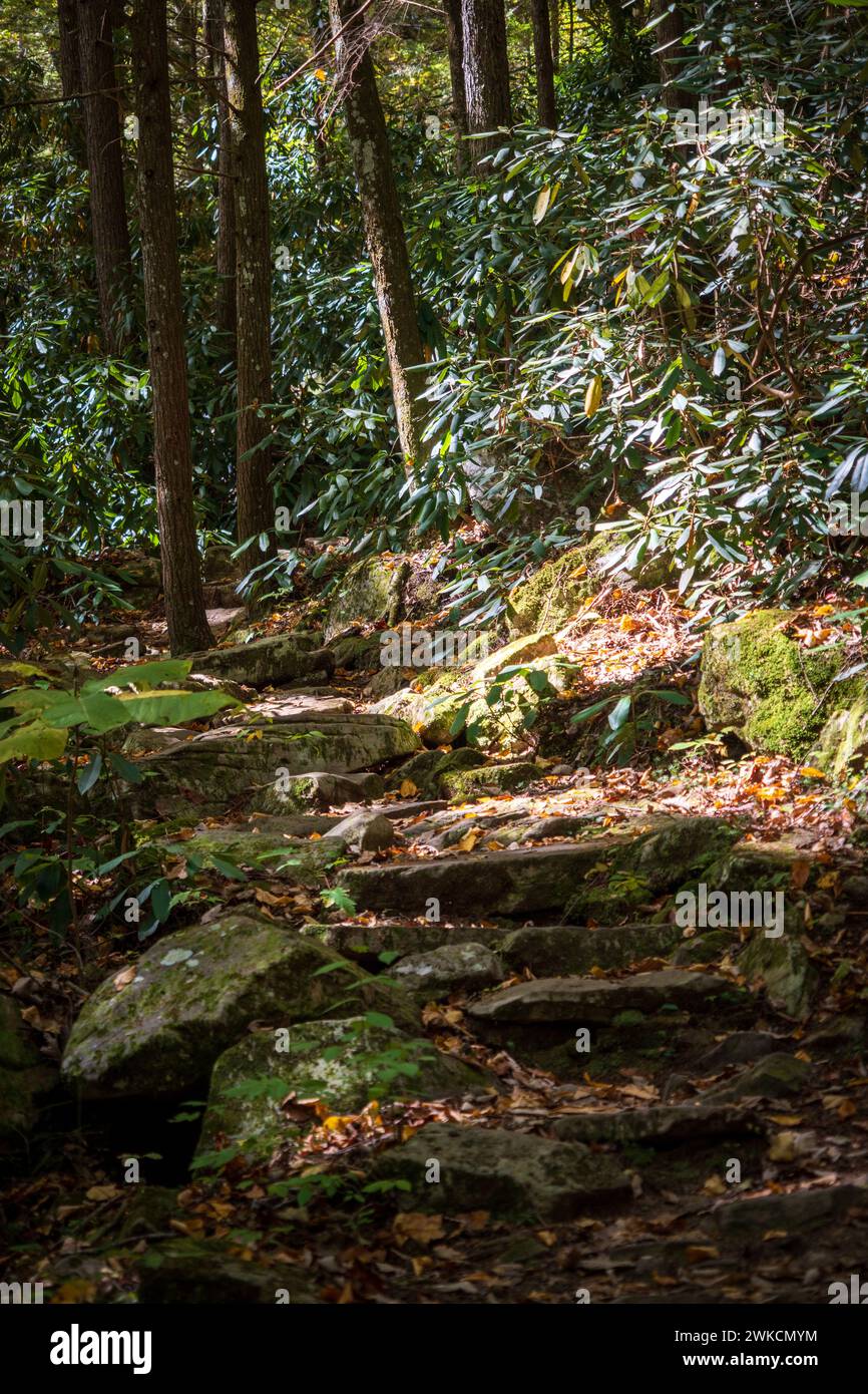 The Obed Wild & Scenic River in the Cumberland Plateau in Tennessee ...