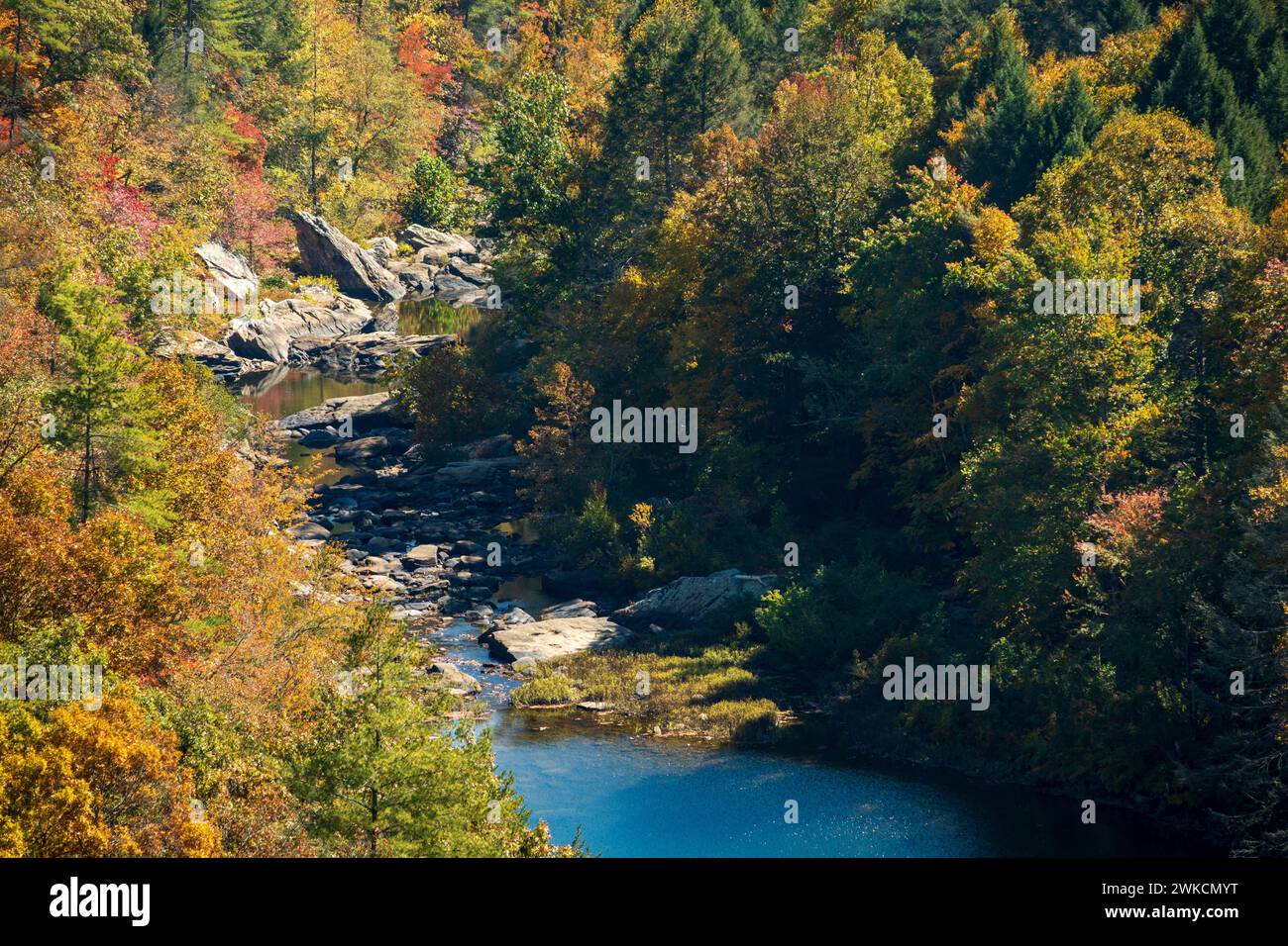 The Obed Wild & Scenic River in the Cumberland Plateau in Tennessee ...