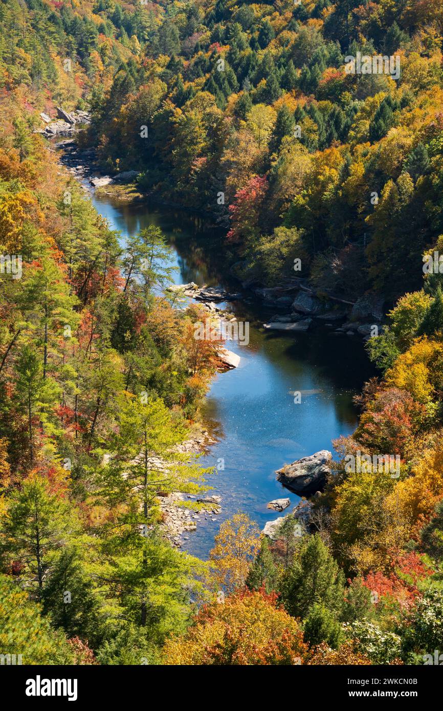 The Obed Wild & Scenic River in the Cumberland Plateau in Tennessee ...