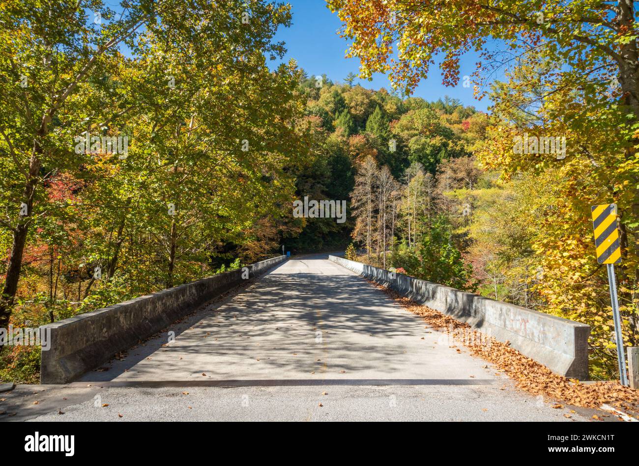 The Obed Wild & Scenic River in the Cumberland Plateau in Tennessee ...