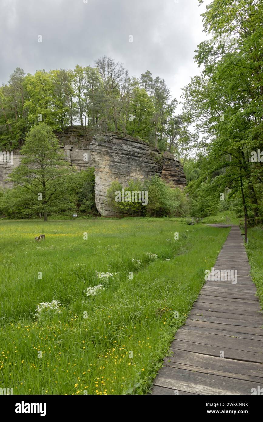 Nature reserve Udoli Plakanek near Kost castle, Eastern Bohemia, Czech ...