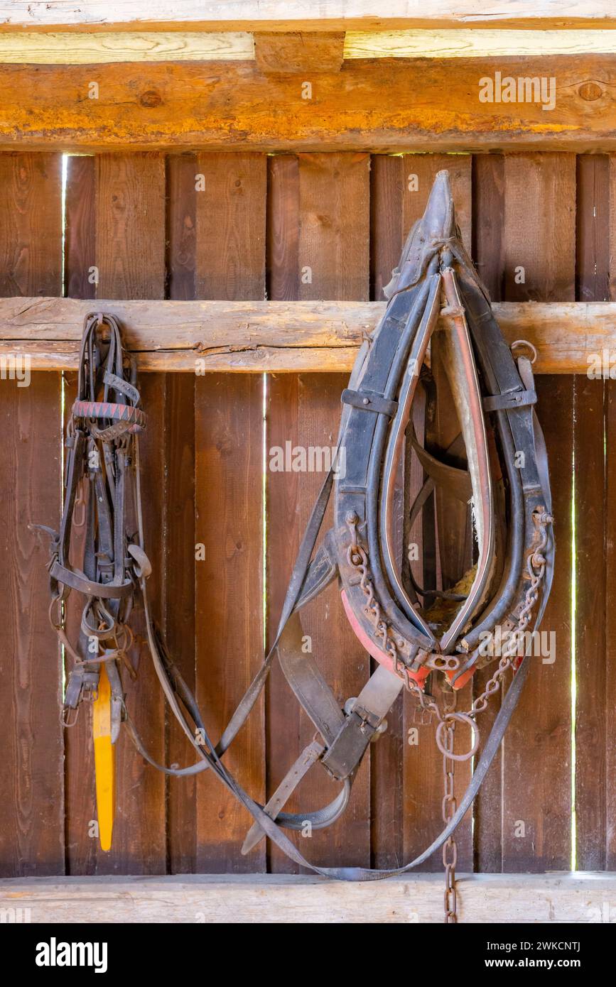 Old country farm, Moravska Nova Ves, Southern Moravia, Czech Republic ...