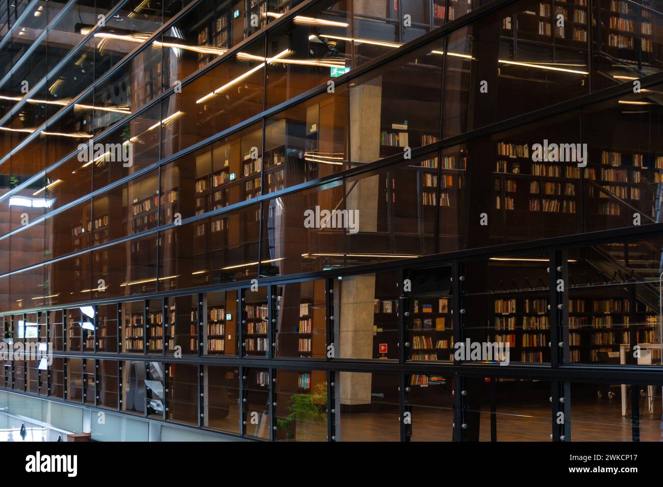 Public Library architecture bookcase Indoor trees Modern interior ...