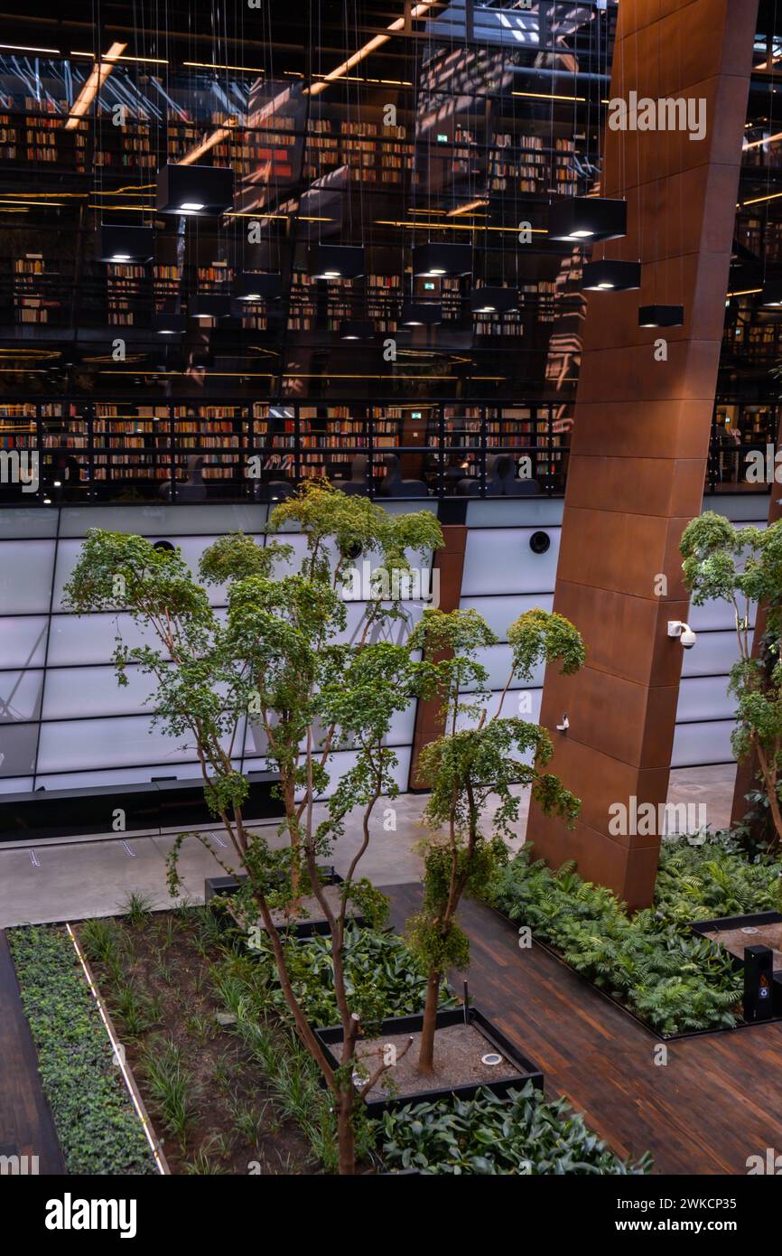 Public Library architecture bookcase Indoor trees Modern interior ...