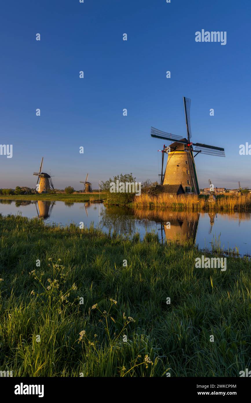 Traditional Dutch windmills in Kinderdijk - Unesco site, The ...