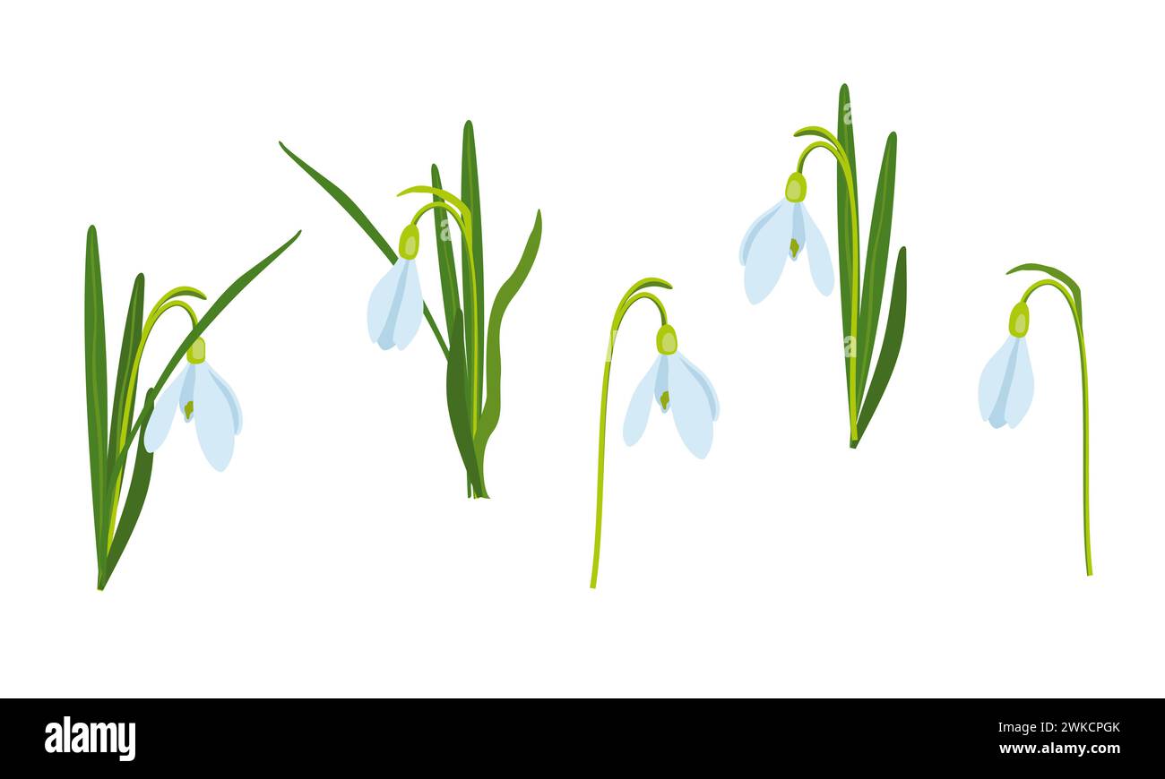 vector illustration of Easter theme, bouquet and part of spring flowers ...