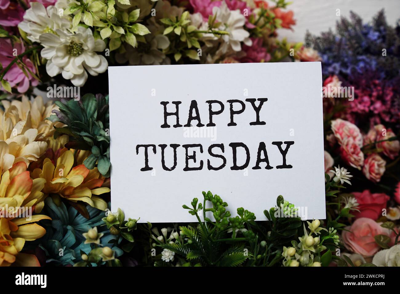 Happy Tuesday text message on paper card with beautiful flowers ...