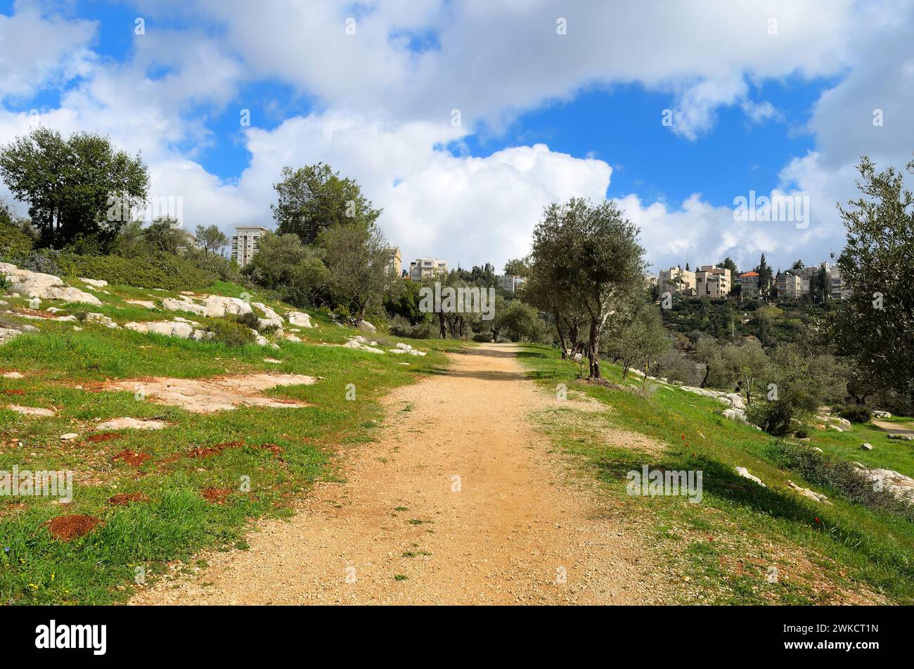 The beautiful Rehavia Park in Jerusalem, Valley of the Cross, lush with ...