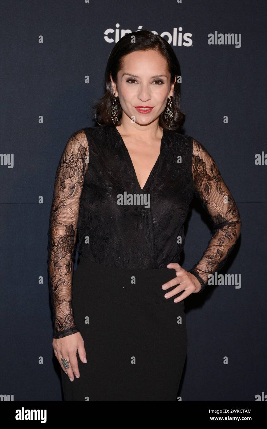 Mexico City, Mexico. 19th Feb, 2024. Vanessa Benavente is attending the ...