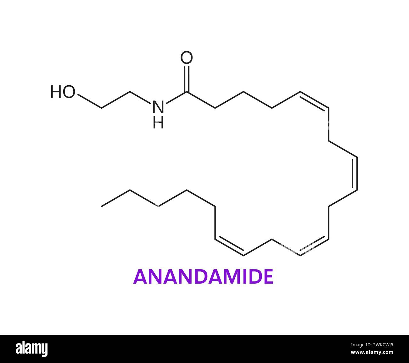 Neurotransmitter, Anandamide ANA chemical formula and molecule, vector ...
