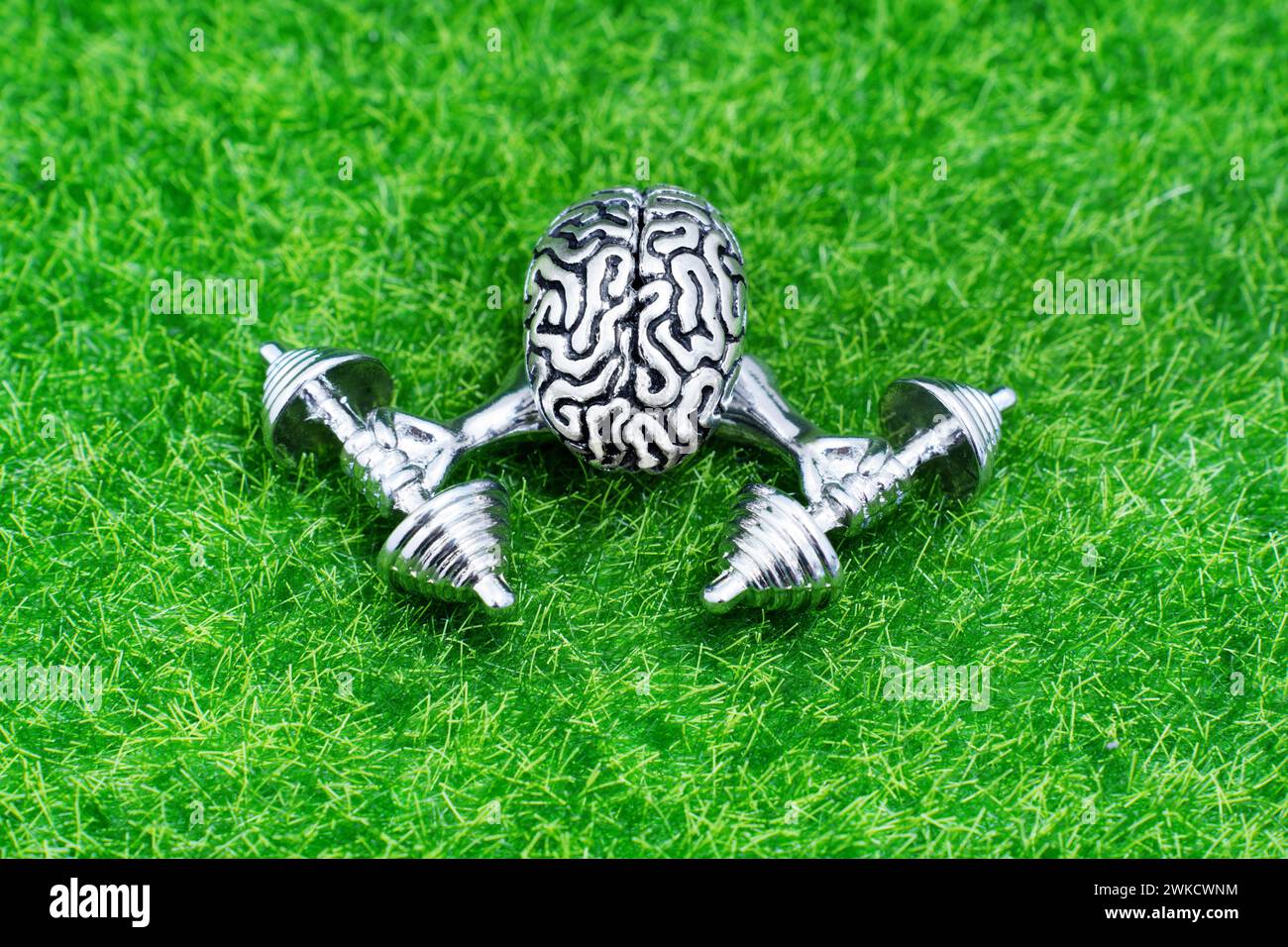 Human brain figurine lifting heavy dumbbells with strong hands. Mind ...