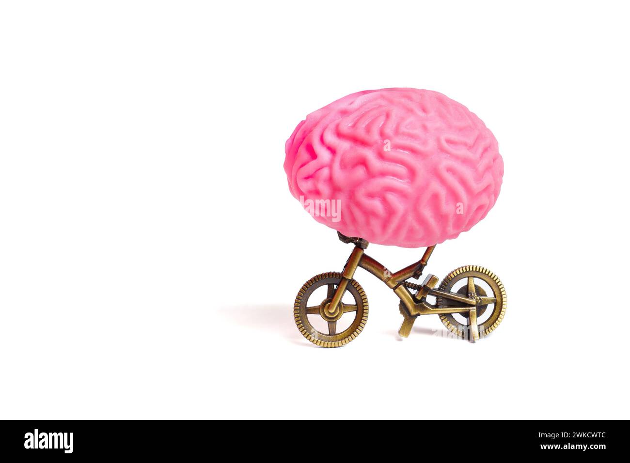 Soft pink human brain model placed on a miniature bronze-toned bicycle ...