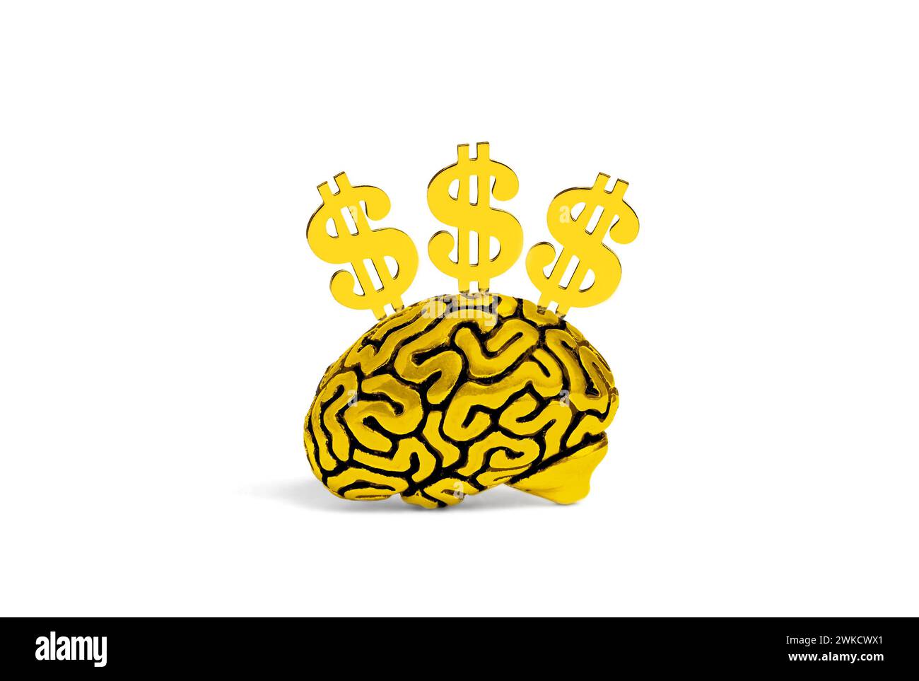 Close-up view of a golden model of a human brain having three prominent ...