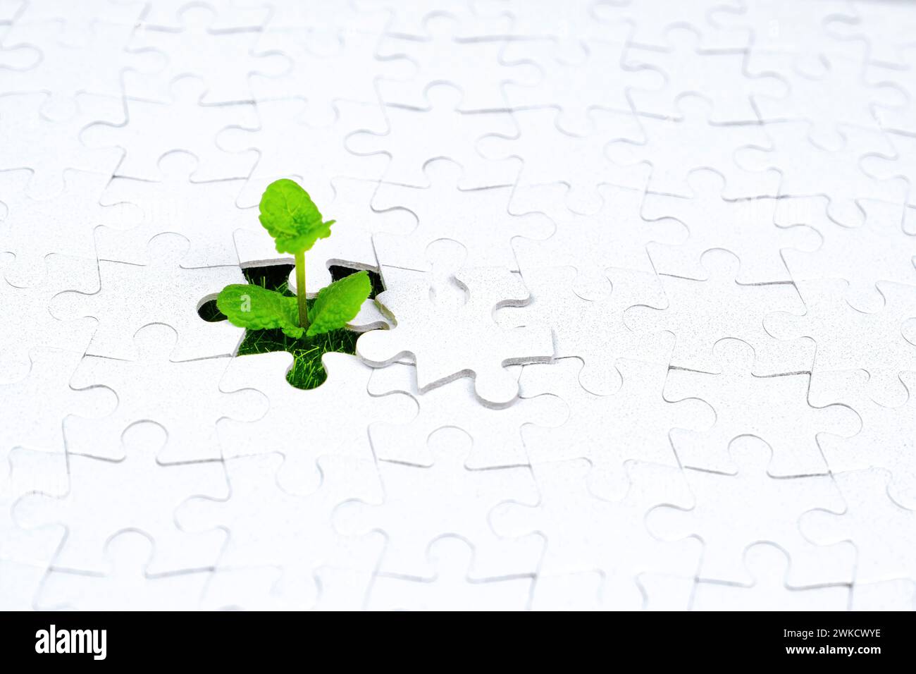 A green sprout breaks through a hole in a puzzle piece, symbolizing new ...